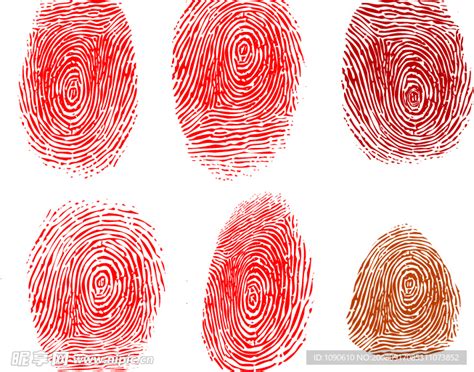 指纹 更精确 更平滑 更完美设计图图片素材其他设计图库昵图网