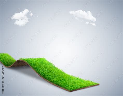 3d illustration of bending grass field isolated agriculture grass