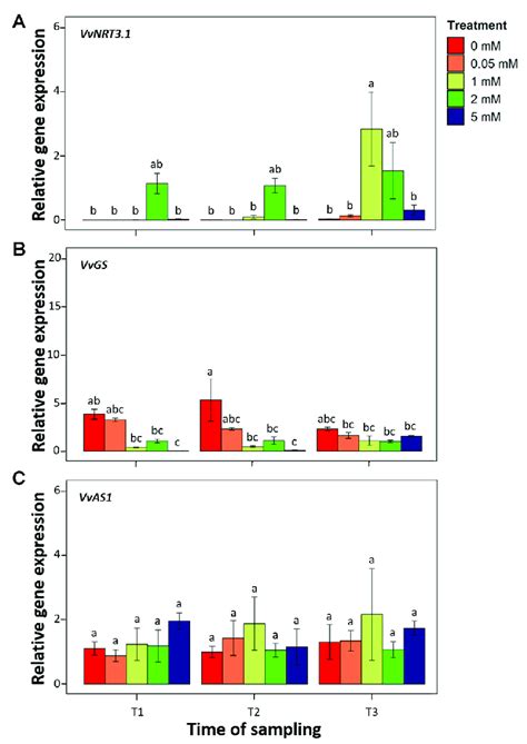 Relative Expression Level 2 −ΔΔct Method Of Genes Involved In The N Download Scientific