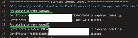 How Do I Delete Old Certificates Windows Servers Using Powershell