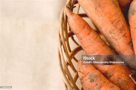 밝은 배경에 고리 버들 바구니에 유기농 신선한 당근의 무리 씻지 않은 오렌지 당근og를 닫습니다 당근 수확 건강하고 음식 개념
