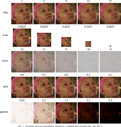 Figure 2 From An Evaluation Of Forensic Facial Recognition Semantic Scholar