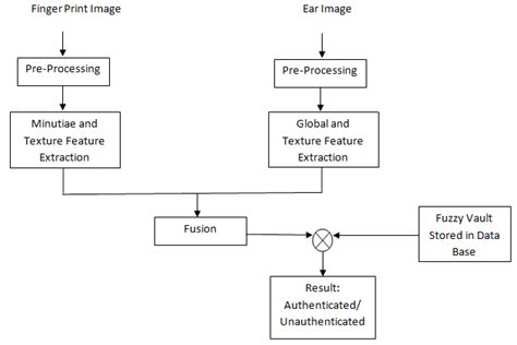 block diagram of cuckoo optimized fuzzy vault system authentication