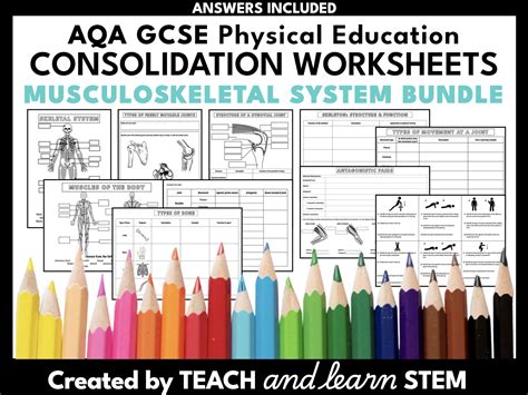Structure And Functions Of The Musculoskeletal System Summary Worksheet Bundle Aqa Gcse Pe