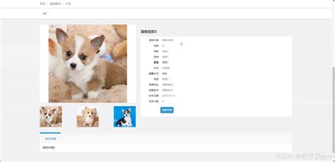 基于springbootvue的宠物领养饲养交流管理系统的设计与实现源码lw调试文档讲解等 Csdn博客