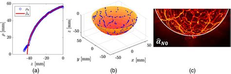 Breast Surface Estimation A Estimated Radii On X Y Planes ρ Z