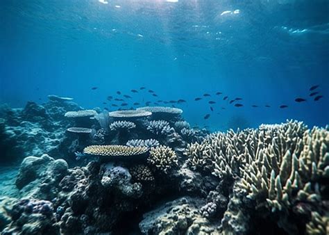 무료 배경 소재 파란색 꿈나라 배경 이미지 하늘색 꿈 해저 발묵 포스터 배경 소재 사진 배경 Png 및 벡터