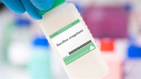Bacillus Coagulans Benefits Uses And More Levate You
