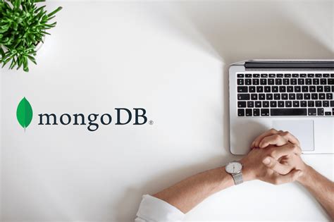Setting Up Mongodb Community Server Logical Sapien
