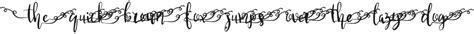 secret of julia script a script font by creamy script