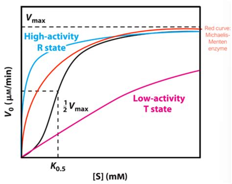Chapter 6 Enzyme Regulation Flashcards Quizlet