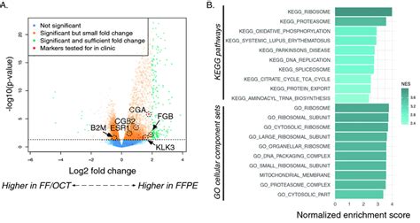 Comparison Of Transcriptional Profiles Of FFPEFF OCT Replicates A A Download Scientific