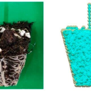 Physical And Simulation Model Of The Pot Download Scientific Diagram