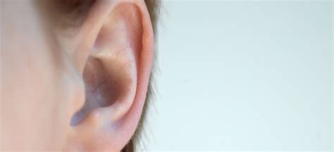 Common Ear Problems And Their Treatments Neoalta Speciality Clinic