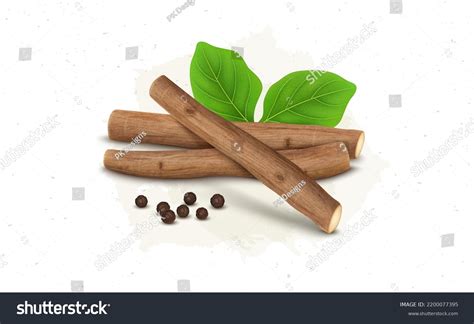 꽈리 고추 일러스트 50개가 넘는 로열티 프리 라이선스 대상 스톡 벡터 및 벡터 아트 Shutterstock