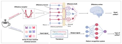 Electronic Nose Patent Tiko Electronic