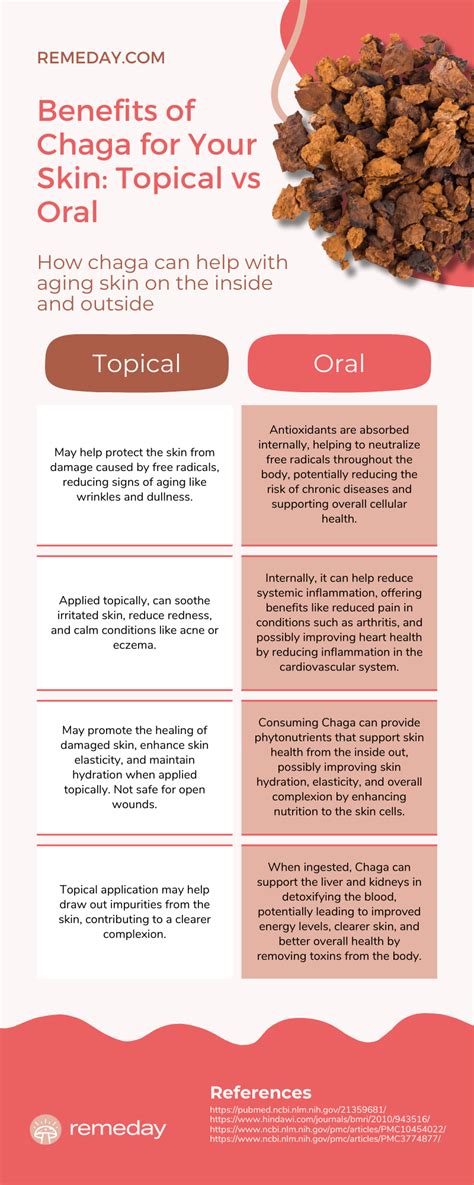 Chaga Mushroom Benefits For Skin And Anti Aging Complete Guide