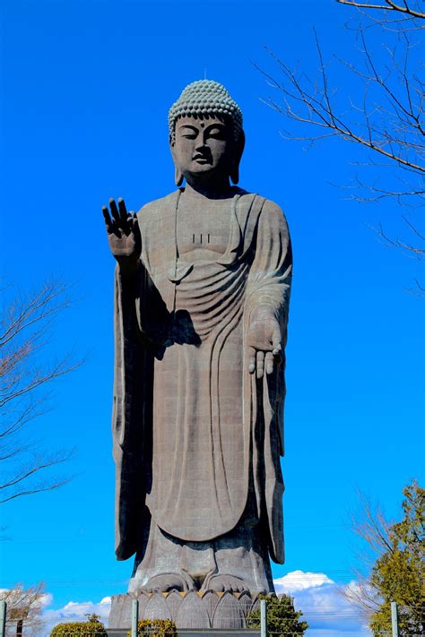 1 무료 牛久 And 우시쿠 대불 이미지 Pixabay