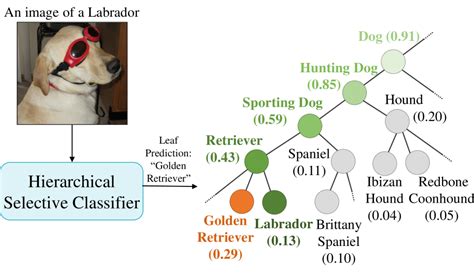 Selective Classification Under Distribution Shifts Ai Research Paper