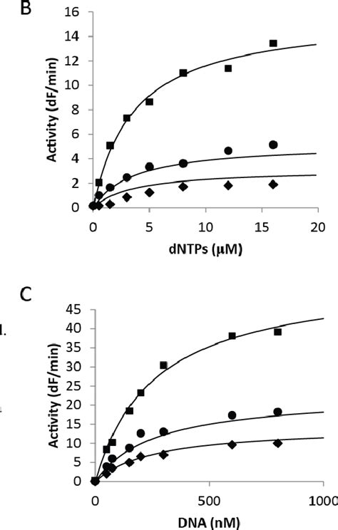 Table 1 From Structure And Function Of The Plasmodium Falciparum Apicoplast Dna Polymerase The
