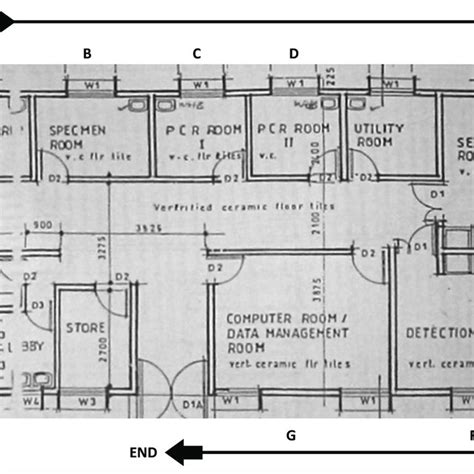 Diagram Of The Molecular Biology Laboratory Renovations Produced In