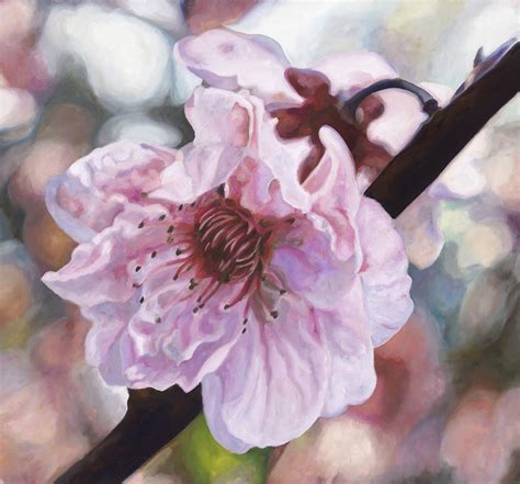 Willunga Prunus 2022 Bmg Art