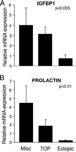 Morphological Assessment Of The Degree Of Endometrial Decidualization Download Scientific