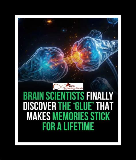 Aura Technology On Linkedin Aitechnology Artificialintelligence Techfacts Innovation