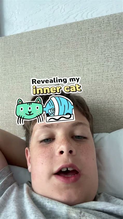 My Inner Cat Youtube