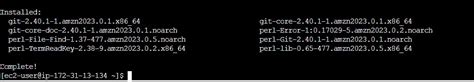 How To Install Git On Amazon Linux 2023 Instance Cloudkatha