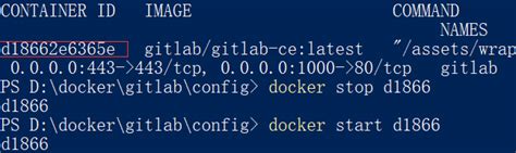 windows下通过docker安装gitlab 阿飞飞阿飞 博客园