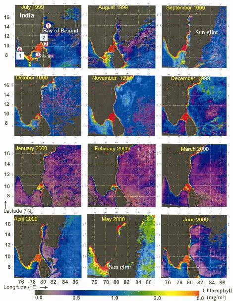 Rs P4 Ocm Derived Monthly Averaged Chlorophyll Images During July Download Scientific Diagram