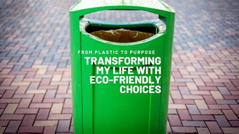 Eco Warrior Chronicles Small Steps Big Impact On Earths Health