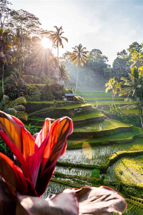 The Ultimate Bali Travel Guide For First Timers She Wanders Abroad