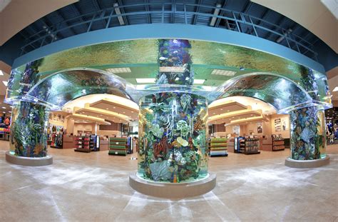 Scheels Springfield Illinois Visit Springfield