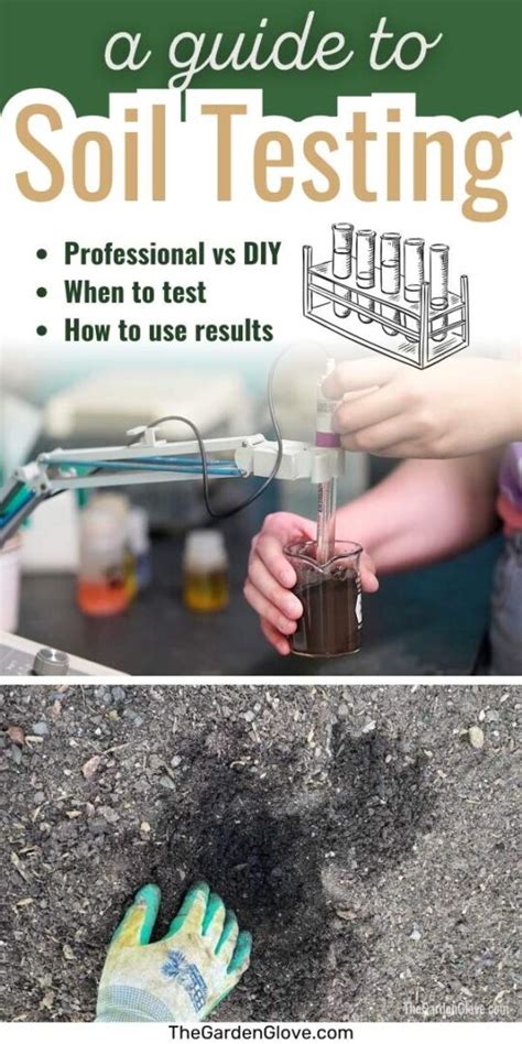 A Guide To Soil Testing Unlock Your Garden S Potential The Garden Glove