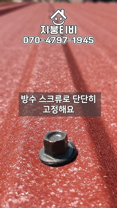 인기 지붕자재 칼라강판이 어떤 건지 쉽게 알려드릴게요 지붕개량 옥상방수 칼라강판 지붕공사 지붕시공 Youtube