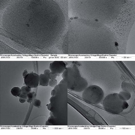 Sem Images And Average Particle Distribution Of Sos Download