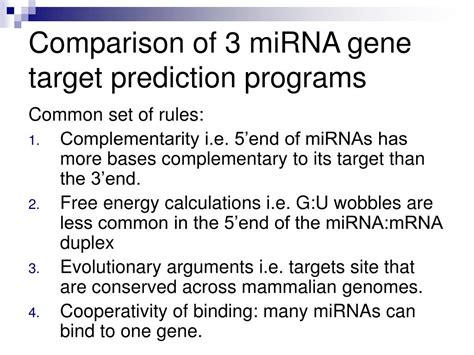 Ppt Computational Prediction Of Mirnas And Their Targets Overview Of