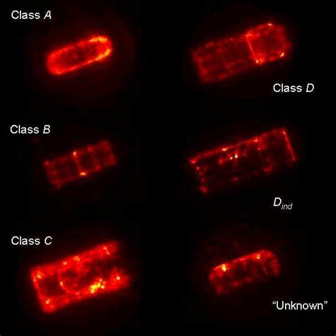 Multi Look ISAR Images Over Classes A B C D And D Ind Download Scientific