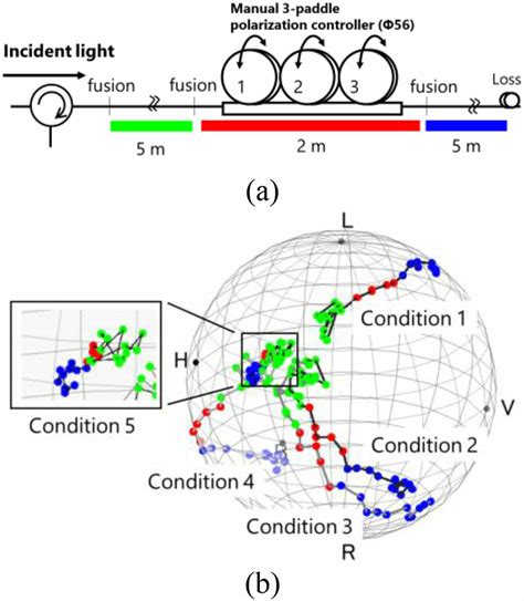 A Structure Of The Sensing Fiber Consisting Of A Three Paddle Download Scientific Diagram