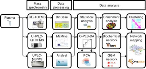Genomic Proteomic And Metabolomic Data Integration Strategies Pmc