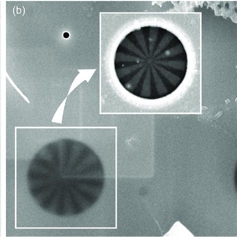 Scanning Electron Micrographs Sem Of Test Samples A Sample To