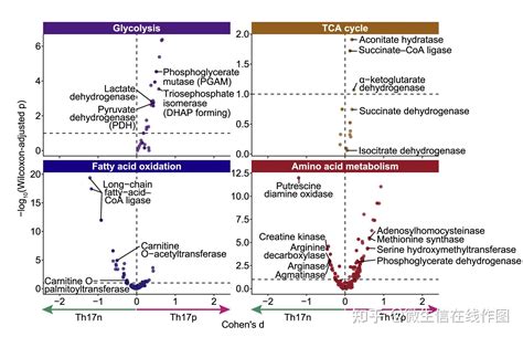 【cell】compass利用单细胞转录组流平衡分析预测细胞代谢状态，促进免疫细胞代谢研究 知乎
