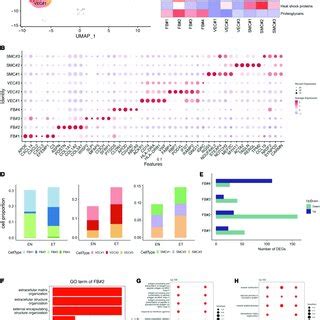 Characteristics Of Extracellular Matrix ECM Related Populations In Download Scientific