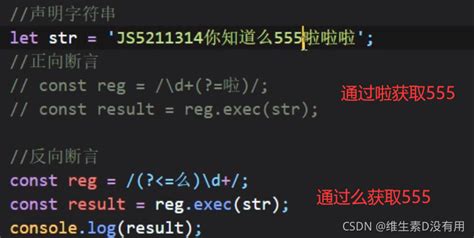js高级 正则表达式 js正则反向匹配 csdn博客