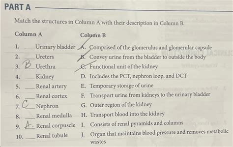 solved part amatch the structures in column a with their