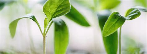 Postgresql Scalability Strategies For Growing Databases