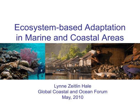Ecosystem Based Adaptation In Marine And Coastal Areas