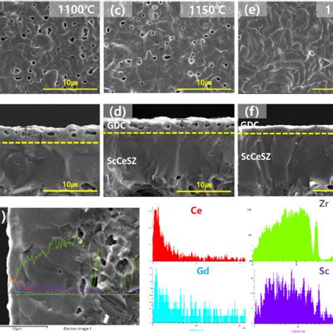Surface And Cross Sectional Sem Microstructures Of The Gdc Interlayer Download Scientific